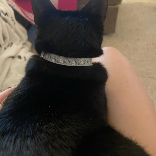 Goose Cat Breakaway Collar, Cute Spring Geese Breakaway Cat Collar ...