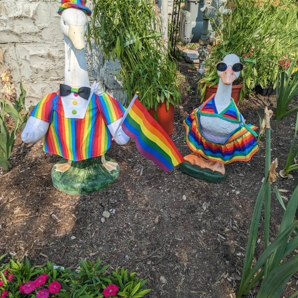 Rainbow LGBTQ+ Pride Tuxedo W/ Top Hat for 23-28 Inch (large) Concrete ...