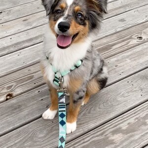 Lof Dog No Pull H-type Harness With Handle, Designed to Fit Dogs Body ...