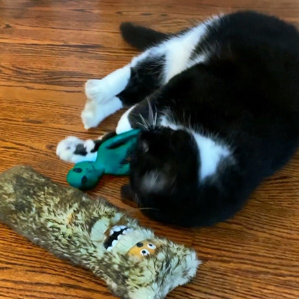 Loch Ness Monster Catnip Cat Toy - Etsy