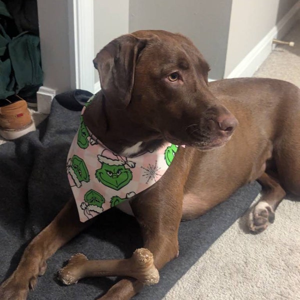 Happy New Year, Curved Neck Snap on Dog Bandana, Winter Pet Collar ...