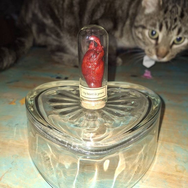 XL Hearts in a Glass Bell Jar / Dome / Cloche, Label, Real Taxidermy ...