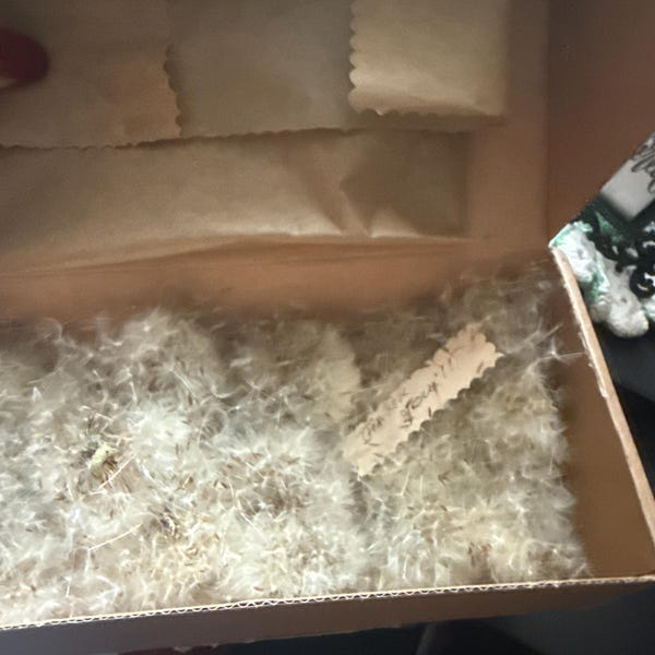 Real Birch Broom Natural Small Broom Decorative Broom Witch's Broom ...