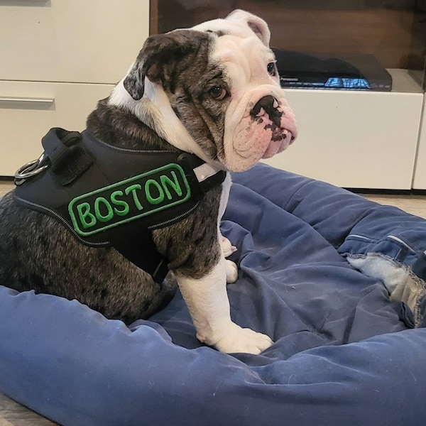 Embroidered Dog Patch Baller Tennis Ball - Etsy