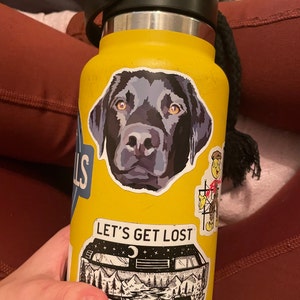 Pothos SVG File Digital Download for Cricut Silhouette Etc. | Etsy