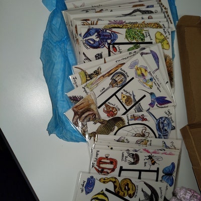 A to Z Menagerie. 26 Animal Alphabet Learning and Teaching Flash Cards ...