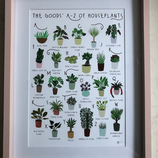 A-Z of Houseplants, Plant Poster, House Plants Print, Alphabet Print ...