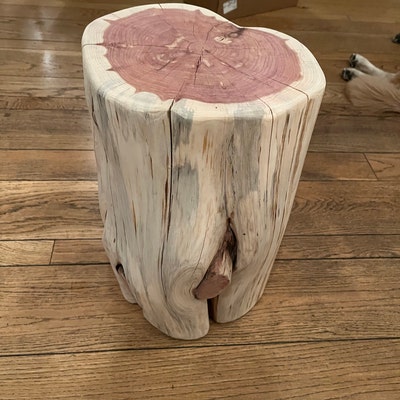 Red Cedar Wood Slices, Cedar Wood Round, You Pick Slice, 1.5 Thick ...