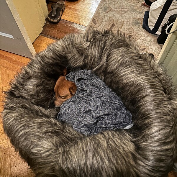 PRE-ORDER Teddy FLOOF for People | Escape Den | Cuddle Cave | Dog Bed ...