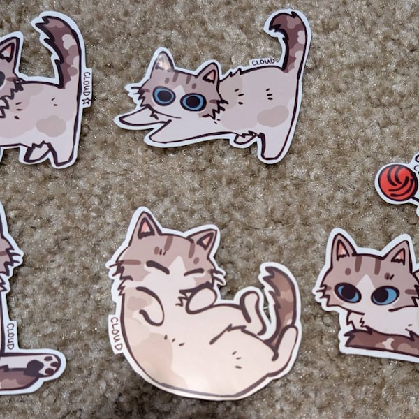 Personalized Cat Stickers - Hand Drawn | Custom Pet Stickers, Cat ...
