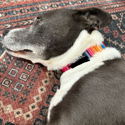 Treeline Dog Collar Trees Forest Nature Outdoors - Etsy