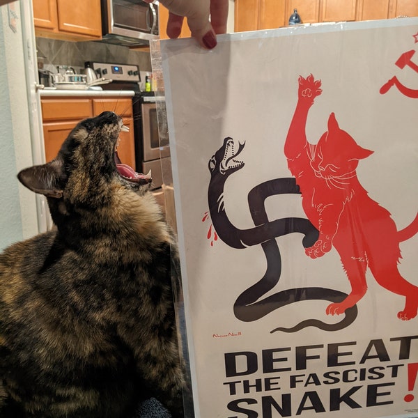 Soviet Cat - Defeat the Fascist Snake Poster - Etsy
