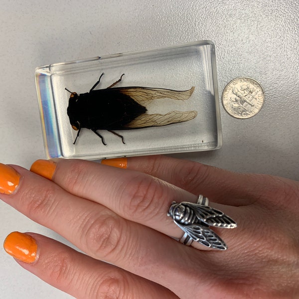 Silver Cicada Ring Sterling Silver Insect Ring Witch Ring Bug Ring ...