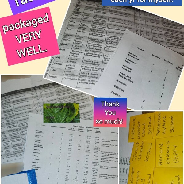 Pansy Lake of Thunder Heirloom Flower Seeds 25 - Etsy