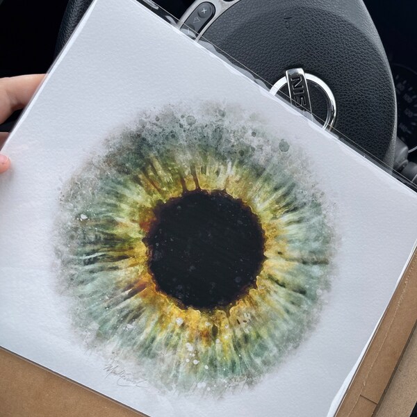 Eye Anatomy Art Print, Periorbital Cross-section Watercolor Style ...