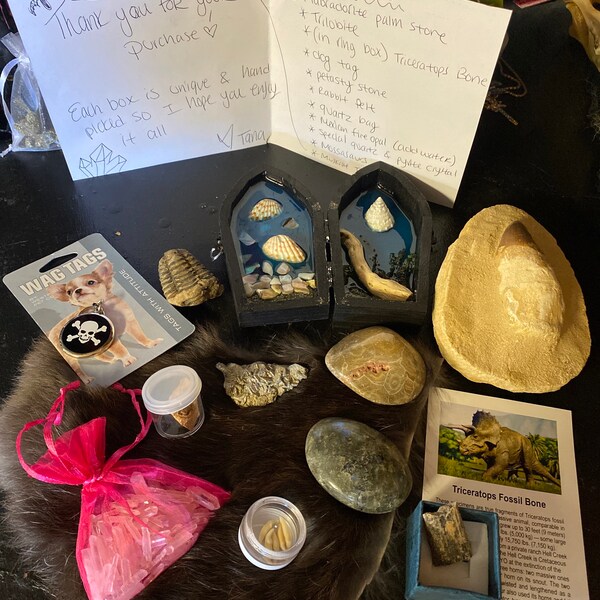 X-large Mystery Crystal Rock and Mineral Fossil Jewleey Box Collection ...