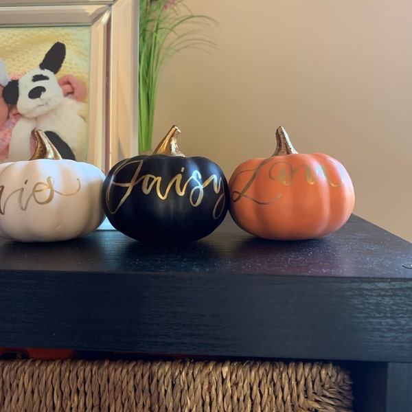 Personalised Pumpkin - Hand-painted Calligraphy Mini Pumpkins - Mini ...