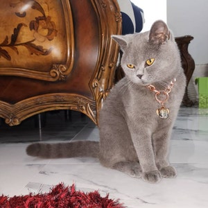 Chain Cat Collar, Medium Cuban Link Cat Necklace, Lightweight Cat ...