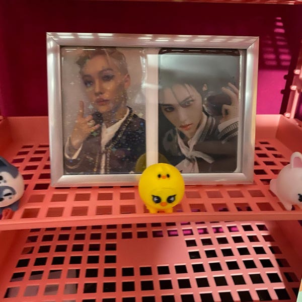 Stray Kids Skzoo Mini 3D Print Figures - Etsy