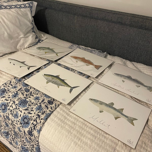 Freshwater Fish Print - Etsy