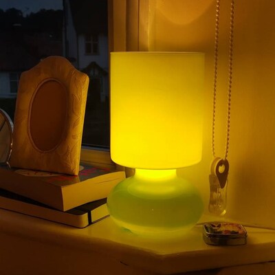 Vintage Y2K Picture Photo Frame, Leopard Print, Slime Green, Black ...