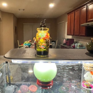 Clownfish Luminous Tiny Dollhouse Fishtank Resin Jar With LED Light ...