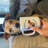 Ms. Rachel Inspired 15oz Mug - Etsy