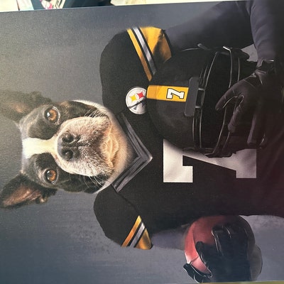Custom Pet Portrait Star Wars Obiwan Kenobi Pet Canvas Funny Pet Lover ...