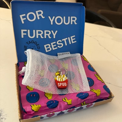 Custom Pet Tag for Dogs and Cats Personalized Weiner Hot Dog Tag Pet ID ...