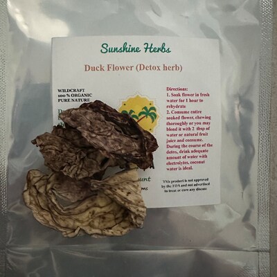 Jamaican Duck Flower Capsules Aristolochia Grandiflora Fresh Harvest ...