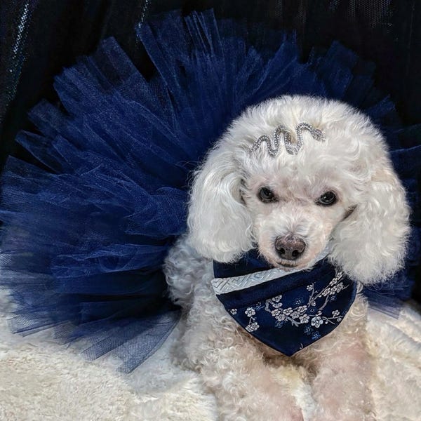 SL-0024 - George Washington Mourning Button Cuff Links - Memento Mori ...