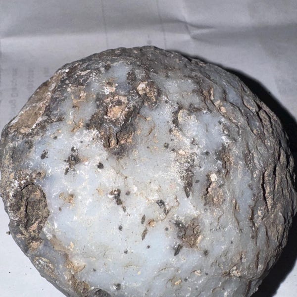 Los Choyas Coconut Geodes | Blue Gray White Agate Nodules From ...