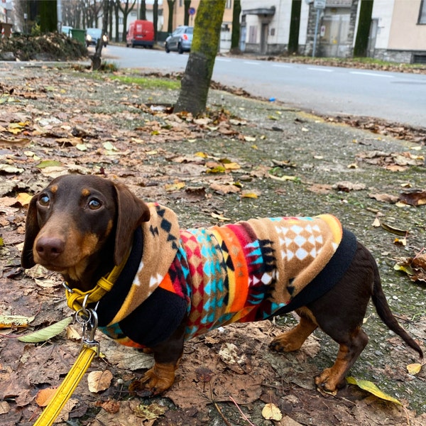Southwestern Polar Fleece for Dogs. Navajo Style Sweatshirt.dog ...