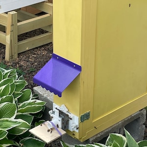 Observation Beehive Honeybee Educational Hive Made in the USA - Etsy