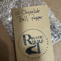 Buckley Yucca, Yucca Constricta, Soapweed - Organic - Heirloom Non GMO ...