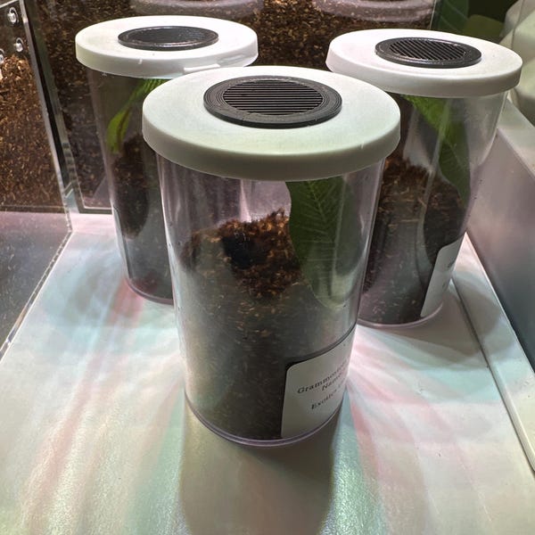 Pixel Hide for Reptile/amphibian STL File With Commercial Licensing ...