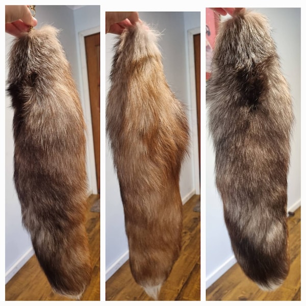 XL Smokey Red Fox Tail (XL and Regular Size), Real Fox Tail, Tails for ...