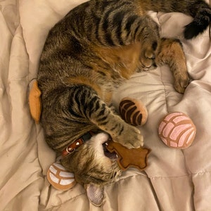 Concha Bread Cat Toys Organic Catnip Toys, Pan Dulce Concha Catnip Cat ...