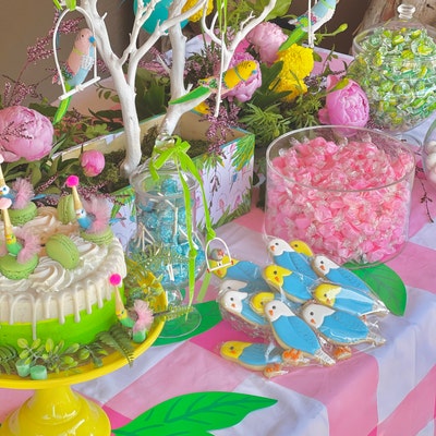 Parakeet Cookies, Bird Cookies - Etsy