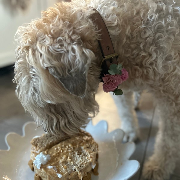 Aged Leather Belt Studded. Skull Loop Design. 2 Inches Wide. BLACK - Etsy