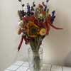 Peacock Dried Flower Spray, 16 X 8 Inches - Etsy
