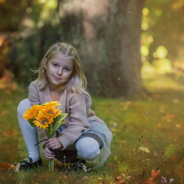 Autumn Overlays for Photoshop Digital Backdrop Autumn Leaves Overlay ...