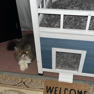 Pink Halloween Doormat Ghost Welcome Mat Halloween Decor - Etsy