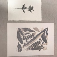 Shell Collection Original Limited Edition Lino Print, Linocut Print ...