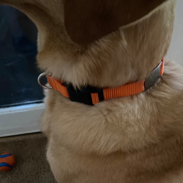 Solid Color BREAKAWAY Safety Dog Goat Pig Sheep Collar | Personalized ...