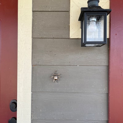 Frog Doorbell in Bronze - Etsy