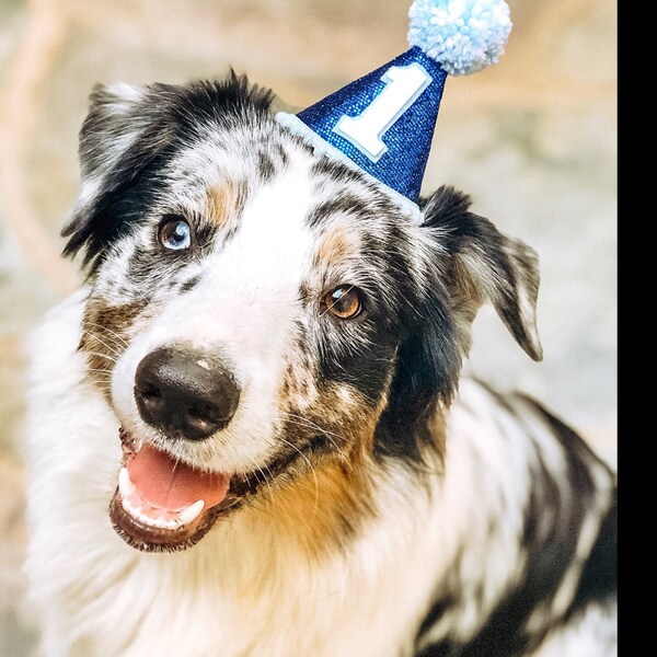 1st Birthday Hat- Boy First Birthday Hat - Mini Blue Party Hat - Boy ...