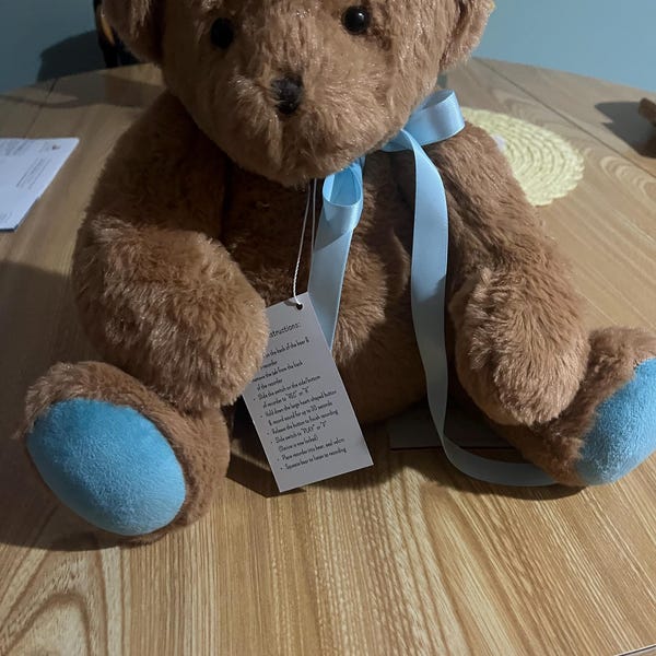 Voice Recording Teddy Bear, Personalized Plush Keepsake Gift, up to 30 ...