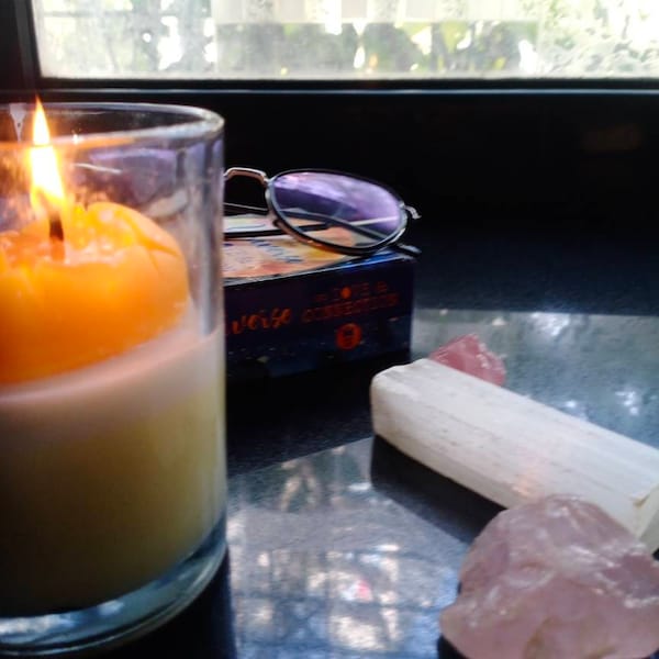 Shikakai Pods / Shikakai Whole / Acacia Concinna / Soap Pod / Senegalia ...