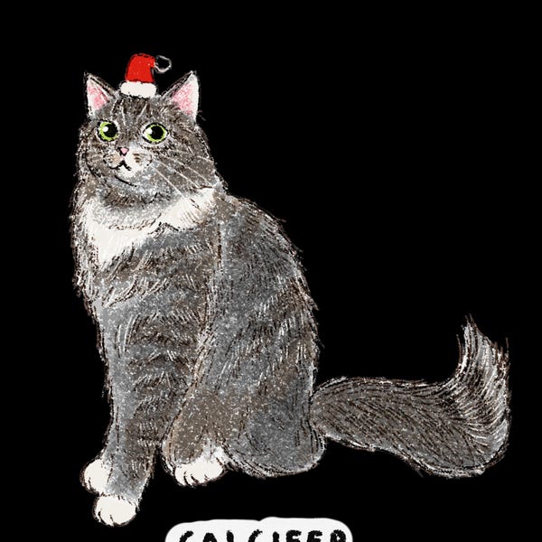 Custom Badly Drawn Pet Portrait, Personalized Cat Portrait, Unique Pet ...